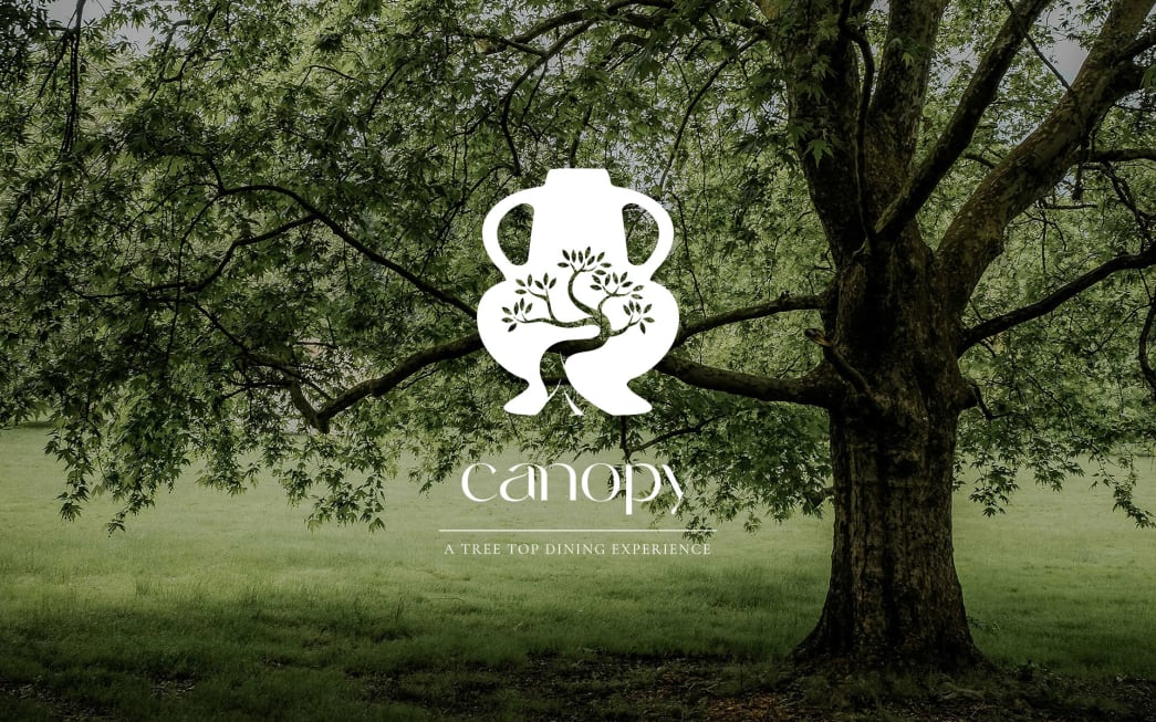 Canopy a Tree |Top Dining Experience at Anantara Golden Triangle