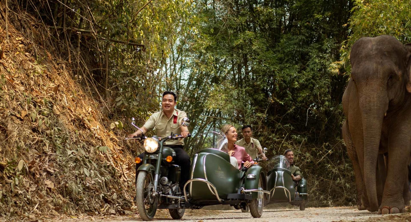 Chiang Rai Elephant Experiences | Sleep among elephants