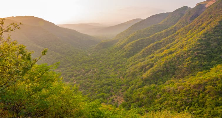 Eight Reasons to Visit Al Baleed Resort Salalah by Anantara in Oman ...