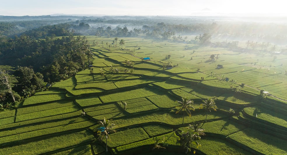 Leisure | Anantara Ubud Bali Resort