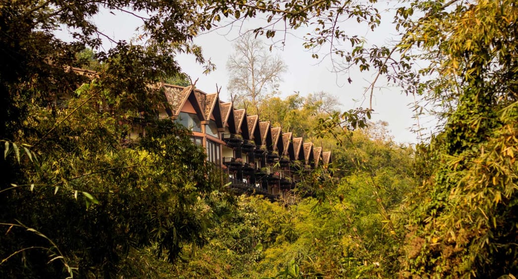 Chiang Rai Jungle Bubble Experiences | Jungle Bubble Lodge