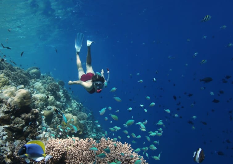Maldives Beach Resort | Anantara Kihavah Maldives | Hotel Offers