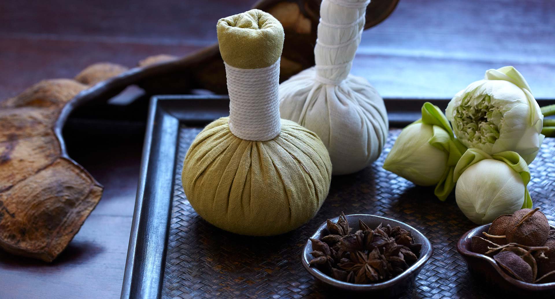 Imágenes del Golden Triangle | Anantara Golden Triangle | Galería de ...