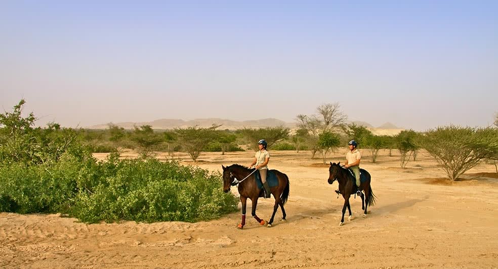 Activities in Abu Dhabi | Leisure Activities at Al Sahel