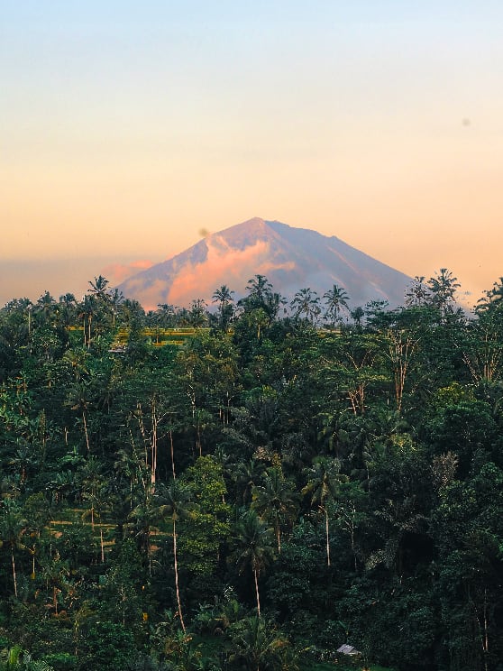 5 Star Resort in Bali | Anantara Ubud Bali Resort Official Site