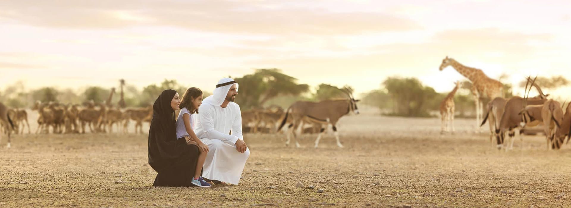 萨巴尼亚岛 - 阿布扎比