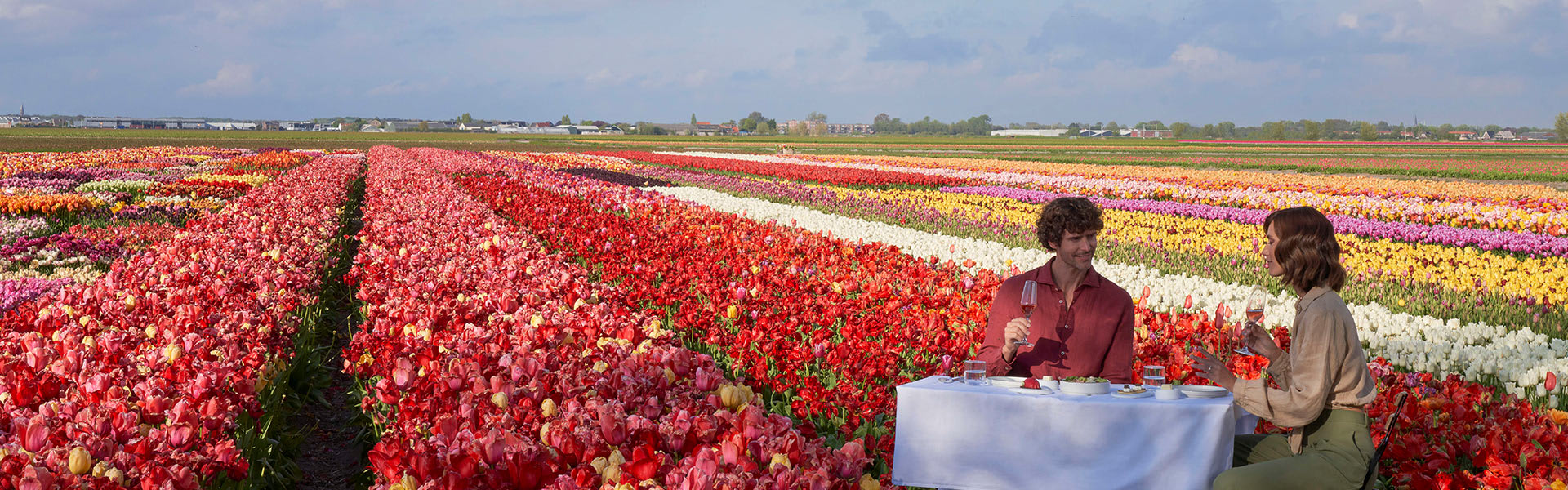 Tulips in Bloom